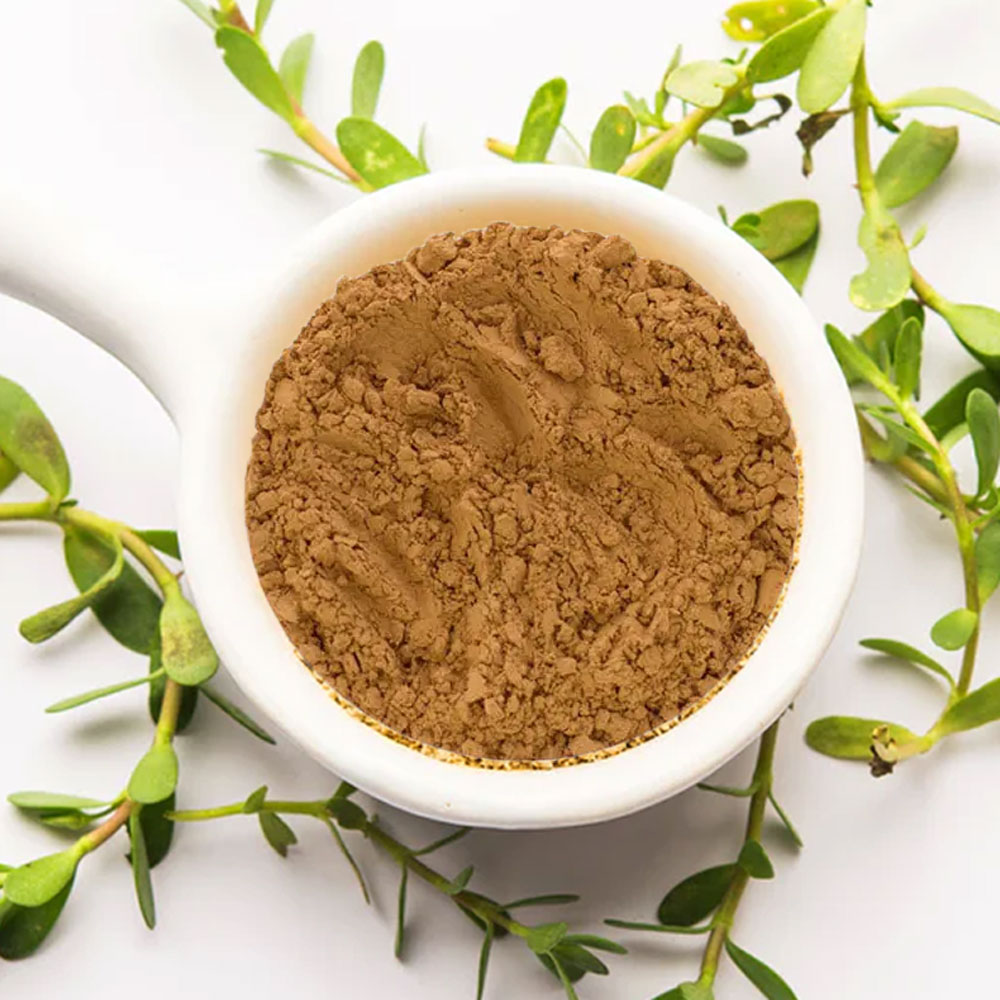 BRAHMI (BACOPA MORNIERI) ΣΚΟΝΗ ΒΙΟ 100γρ