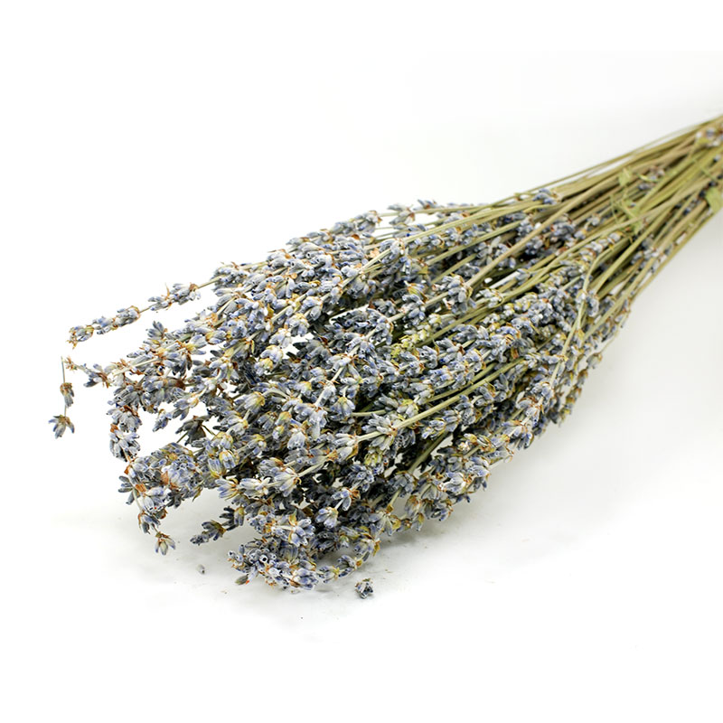 Greek Lavender Bunch | Lavandula officinalis